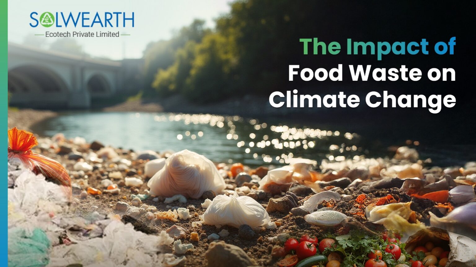 The Impact of Food Waste on Climate Change | Solwearth Blog